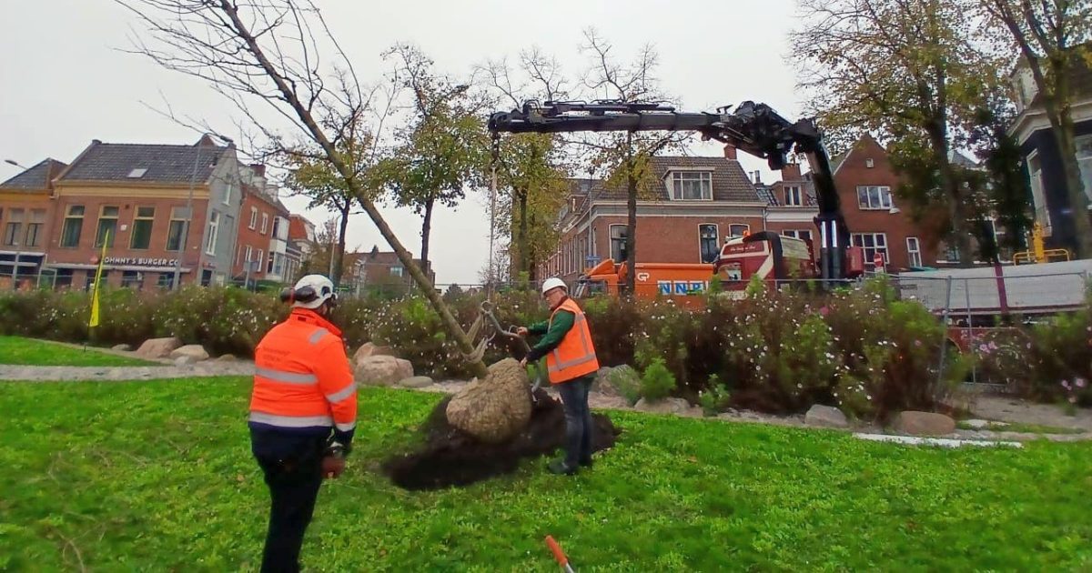 Eerste boom geplant bij Dudok aan het Diep - Ruimte voor jou