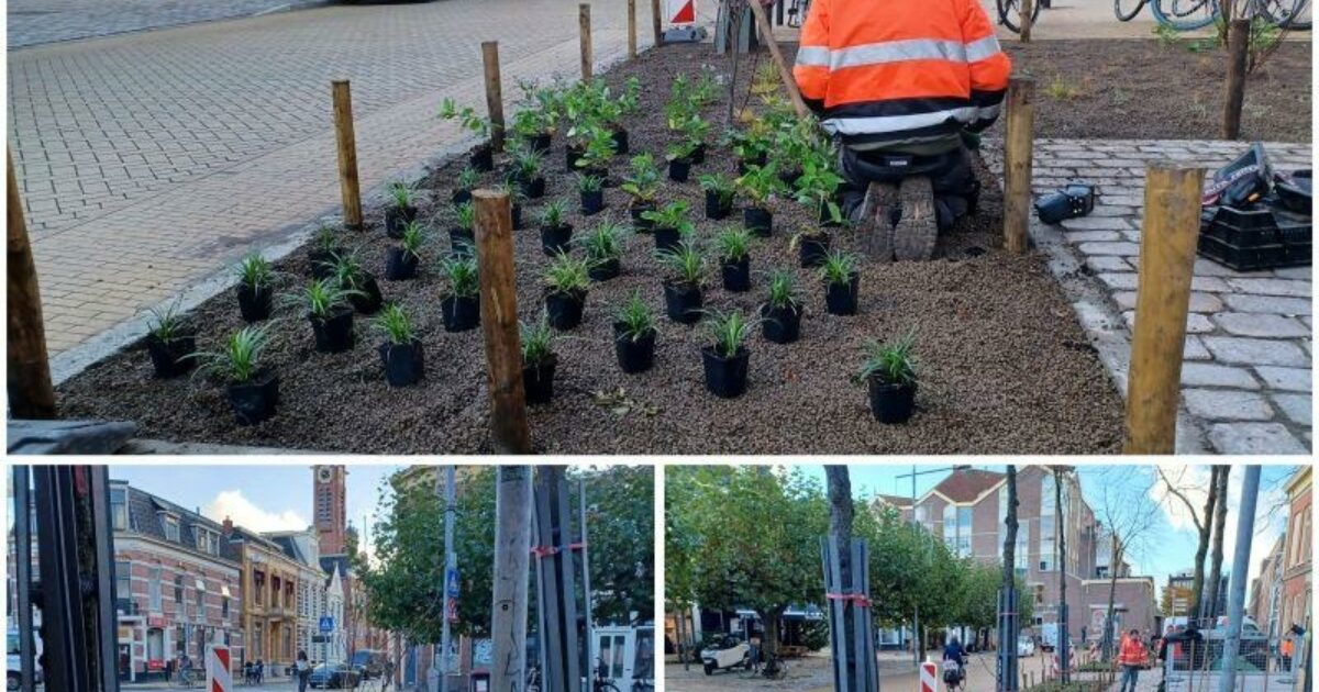 Herinrichting Minervaplein met nieuwe beplanting nu… - Ruimte voor jou